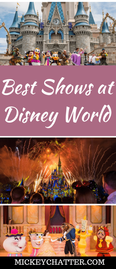 Best Shows to See at Disney World - Mickey Chatter